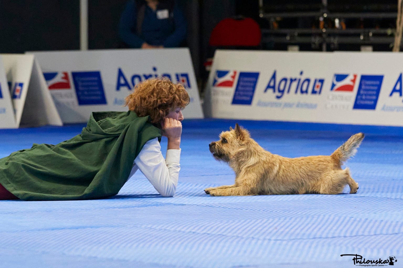 Der SWR im DDC – ein toller Bericht über unser Training – Dog Dance Center